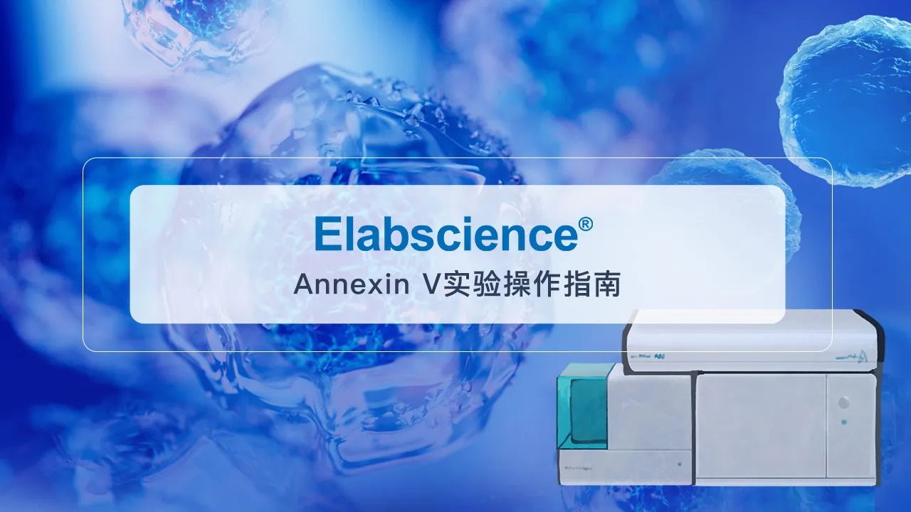 Annexin V-APC / DAPI细胞凋亡检测试剂盒_Elabscience伊莱瑞特【官网】